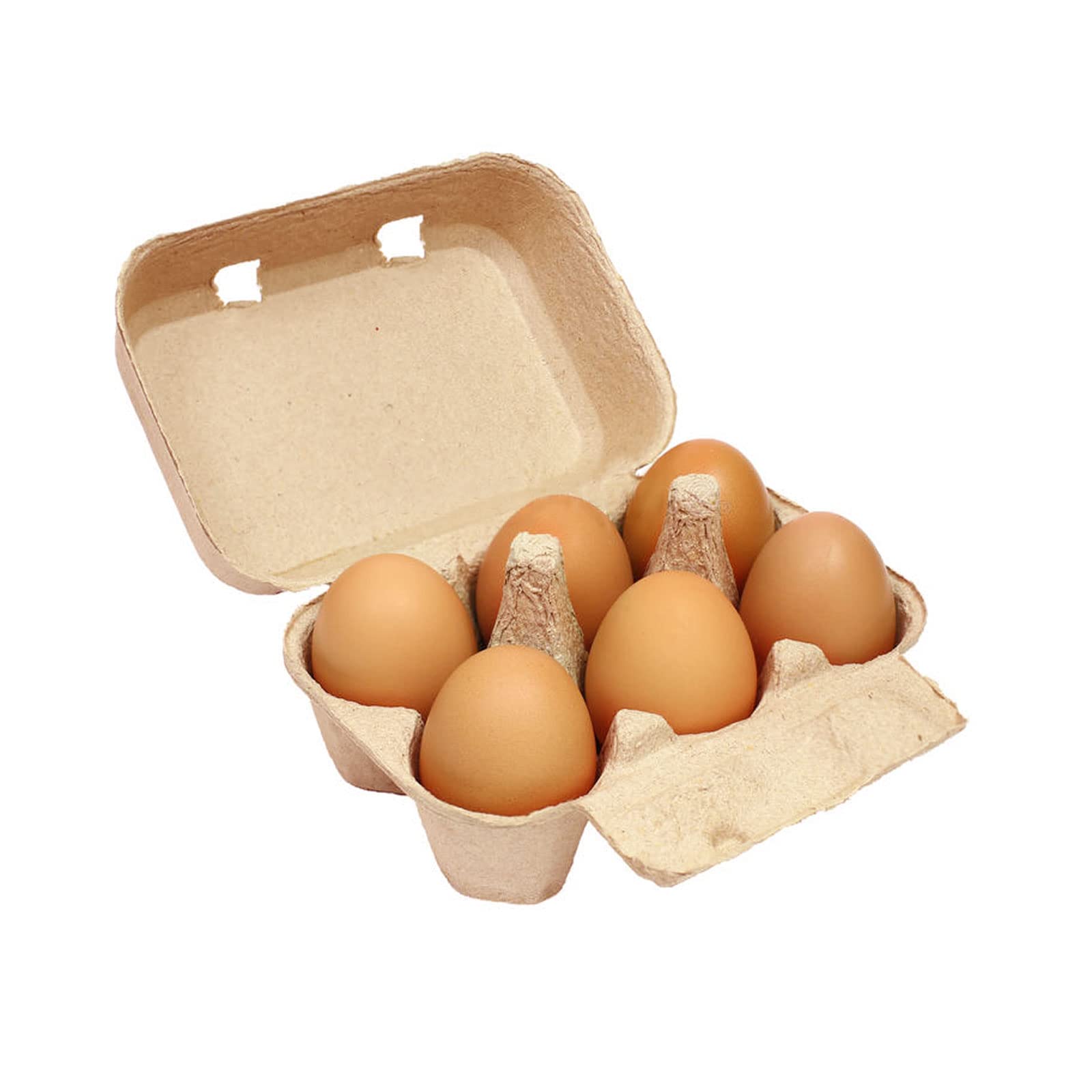 JAPCHET 50 Pack Egg Cartons for Chicken Eggs 6 Count, Paper Pulp Egg Carton Cheap Bulk, Pulp Fiber Egg Tray Holder Biodegradable Egg Carton for Family, Farm, Market