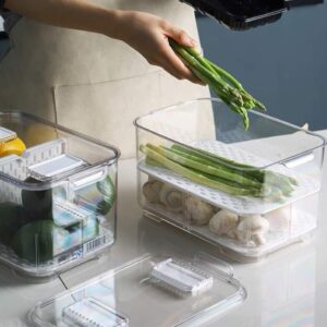 blitzlabs Produce Saver Lettuce Container, Refrigerator Organizer Bins Fridge Food Storage Containers with Lids and Removable Drain Tray for Freezer Cabinet Kitchen Organization 2800ML -2 Pack