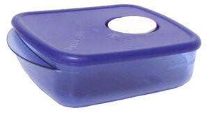 tupperware rock n serve medium shallow blue 2019 release