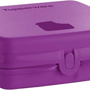 Tupperware Sandwich Keeper Purple