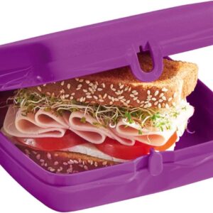 Tupperware Sandwich Keeper Purple