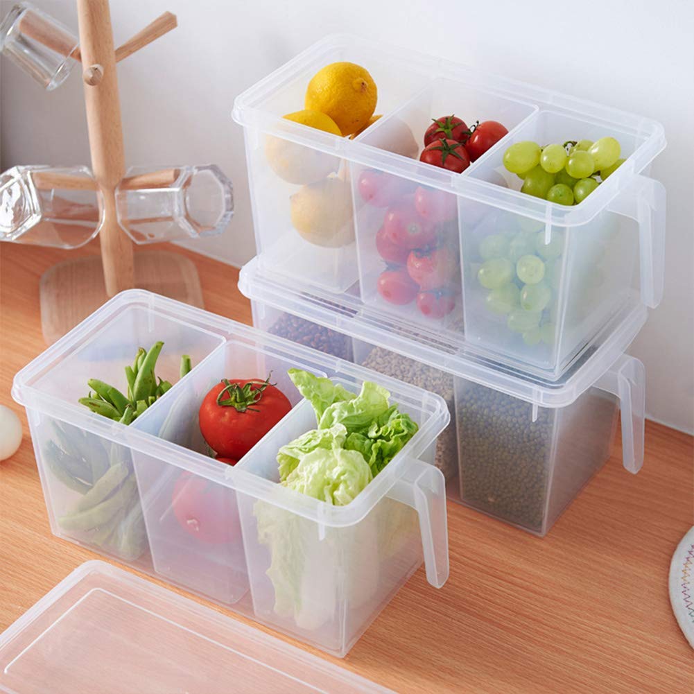 MineSign Plastic Storage Containers Square (Set of 4) And Handle Food Storage Organizer Boxes with Lids (Set of 2 Organizers with Lid and 6 Removable Bins)