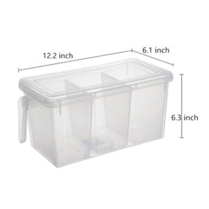 MineSign Plastic Storage Containers Square (Set of 4) And Handle Food Storage Organizer Boxes with Lids (Set of 2 Organizers with Lid and 6 Removable Bins)