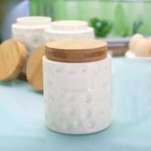 DEAYOU 3 Pack Porcelain Food Storage Jars, Ceramic Cookie Small Canister with Bamboo Wood Lid and Label, Coffee Tea Sugar Containers for Kitchen Counter, Serving Spice, Nuts, Salt, White, 20 OZ