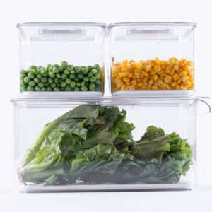 SANNO Produce Saver Containers for Refrigerator, Food Fruit Vegetables storage Produce Saver Vegetable Fruit Containers Fridge Food Storage Produce Saver Container