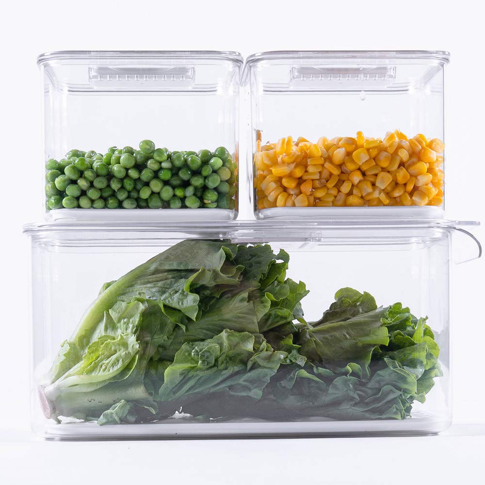 SANNO Produce Saver Containers for Refrigerator, Food Fruit Vegetables storage Produce Saver Vegetable Fruit Containers Fridge Food Storage Produce Saver Container