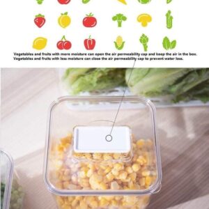 SANNO Produce Saver Containers for Refrigerator, Food Fruit Vegetables storage Produce Saver Vegetable Fruit Containers Fridge Food Storage Produce Saver Container