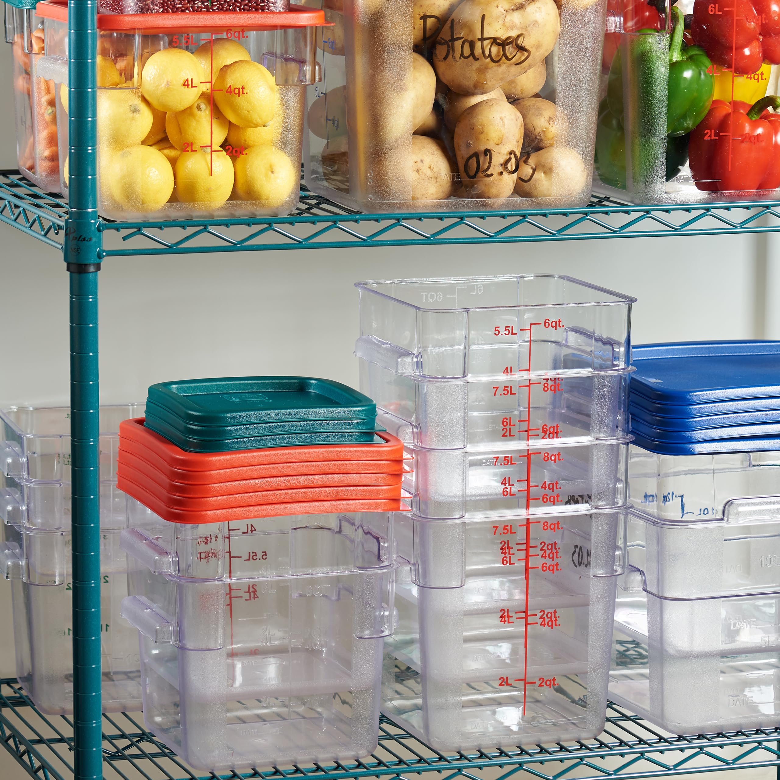 CURTA 4 Pack Food Storage Containers with Blue Lids - NSF Listed Commercial Grade in 18.0 Qt - Square, Clear, Polycarbonate