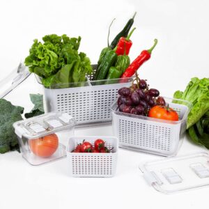 food containers storage