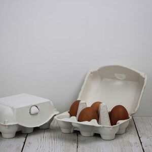 YARDWE 20pcs Chicken Egg Cartons Cardboard Egg Storage Containers 6 Girds Vintage Blank Chicken Egg Carton Trays with Lids