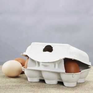 YARDWE 20pcs Chicken Egg Cartons Cardboard Egg Storage Containers 6 Girds Vintage Blank Chicken Egg Carton Trays with Lids