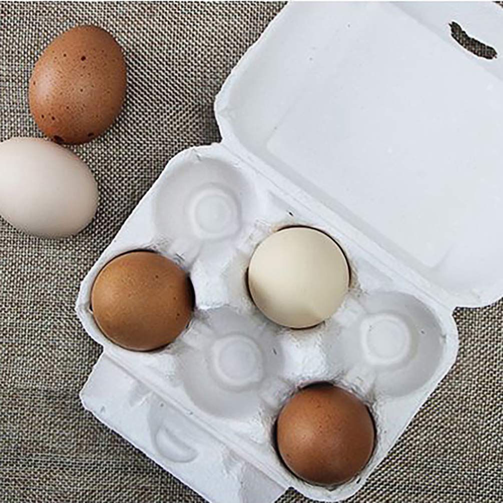 YARDWE 20pcs Chicken Egg Cartons Cardboard Egg Storage Containers 6 Girds Vintage Blank Chicken Egg Carton Trays with Lids