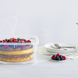 Decor Tellfresh Cake Lifter, 6L, Clear