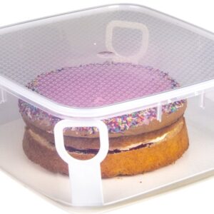 Decor Tellfresh Cake Lifter, 6L, Clear