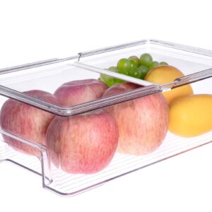 SANNO Produce Saver Containers for Refrigerator, set of 6, Vegetable Refrigerator Organizer Food Bins