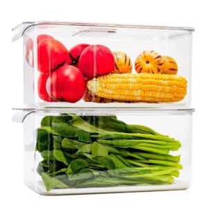 SANNO SANNO Produce Saver Refrigerator Organizer Bins with Lids Refrigerator Egg Holder Tray Stackable Covered Egg Tray Holder