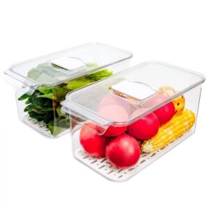 SANNO SANNO Produce Saver Refrigerator Organizer Bins with Lids Refrigerator Egg Holder Tray Stackable Covered Egg Tray Holder