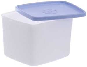 tupperware medium cool n fresh set, 800ml, set of 2 (colors may vary)