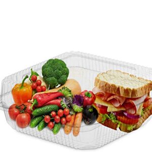 disposable sandwich containers Square plastic Clamshell food containers for Salad Pasta cookies Great for loaf cake Slice Container Clear Hinged Lid plastic takeout tray (Pack of 50)