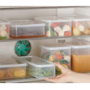 WonLiq Food Storage Containers with Airtight Lids, Stackable Kitchen Organizer Bin, BPA Free, Produce Saver Storage Container for Refrigerator (42, Rectangle, 1, 8872)