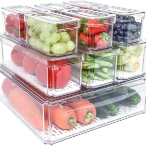 Mytkoj Refrigerator Organizer Bins,Stackable Refrigerator Organizer,Refrigerator Organizer Bins with Lids Sets,use for Food,Fruits,Drinks,Vegetable Storage (10pack)