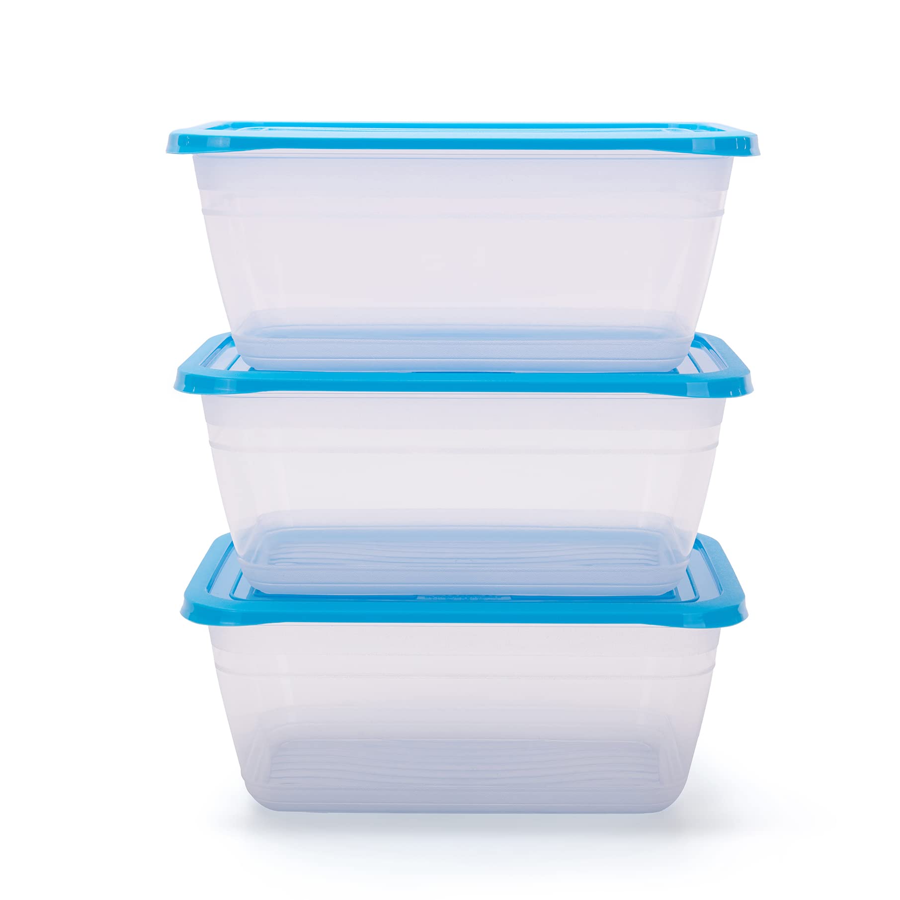 Mintra Home Storage Containers 4L (Blue)