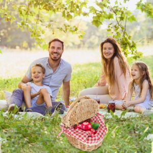 Wicker Basket with Liner Camping Picnic Basket Shopping Storage Hamper with Lid and Handle for Barbecue Food Storage Container Sundries Organizer Red Fruit Vegetable Storage Basket