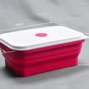 Sailing Premium Collapsible Silicone Lunch Box/Container, Super Convenient Stackable Food Storage Containers, Material Safe (Set of 4 with Silicone Cover, Multi Color)