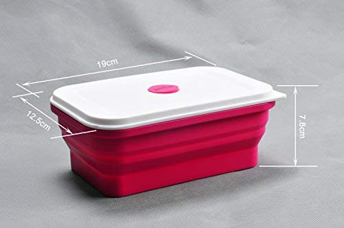 Sailing Premium Collapsible Silicone Lunch Box/Container, Super Convenient Stackable Food Storage Containers, Material Safe (Set of 4 with Silicone Cover, Multi Color)