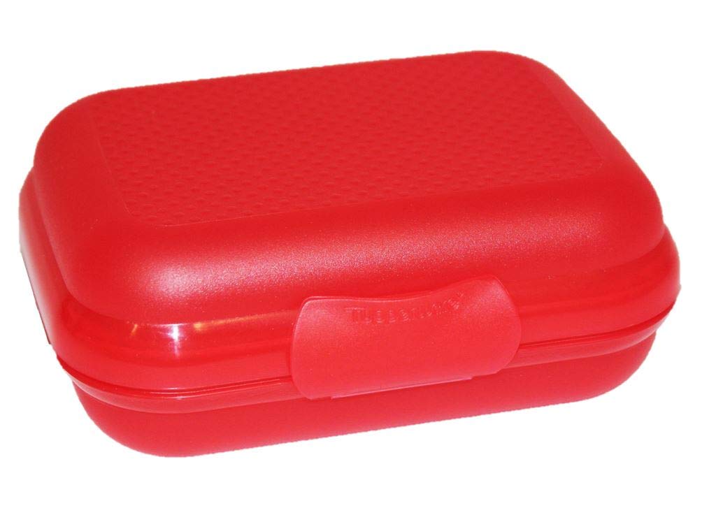 Tupperware Packable Keeper Hinged Oyster Case Red