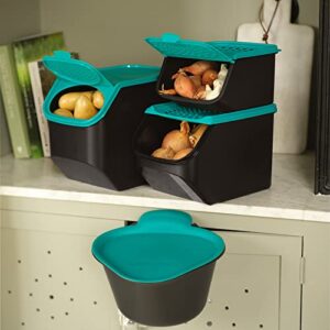 new tupperware modular mates garlic storage 2.3 kg (single pack)