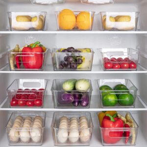 HOMER Set Of 14 Clear Plastic Refrigerator Organizer Bins and Fridge Storage Bins, Fridge Storage Containers, Perfect for Fridge Organizer, Kitchen Storage, and Cabin Organizer