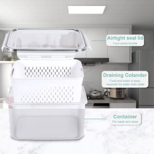 Mochalight 3Pcs Refrigerator Fresh Storage Containers Double-Layer Organizer,2 in 1 Fruit Vegetable Storage Containers Double-Layer Draining Fresh Box for Kitchen Refrigerator