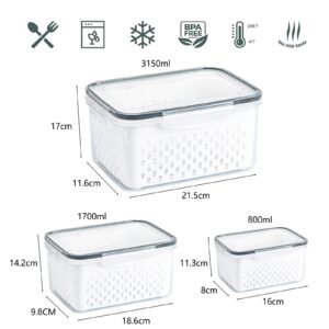 Mochalight 3Pcs Refrigerator Fresh Storage Containers Double-Layer Organizer,2 in 1 Fruit Vegetable Storage Containers Double-Layer Draining Fresh Box for Kitchen Refrigerator