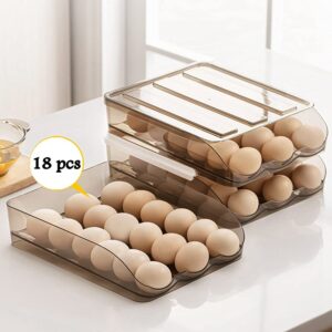 ZYDZ Automatic Rolling Egg Holder for Refrigerator, Fridge Organizers and Storage Space Saver Tray Container Bins Box (Two Layers)