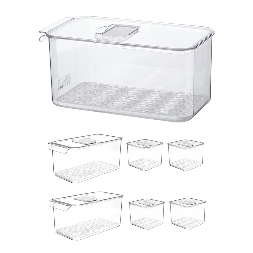 SANNO Vegetable Fruit Containers Fridge Containers,Freezer Produce Saver Produce Saver Containers for Refrigerator, Containers Produce Saver Produce