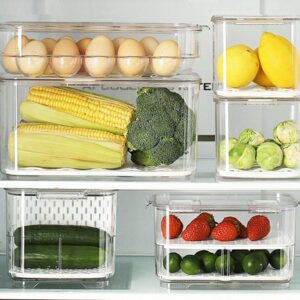 Vegetable Fruit Storage Containers, Refrigerator Storage Containers Fridge Food Storage Containers Produce Saver FreshWorks Produce Food Storage Container