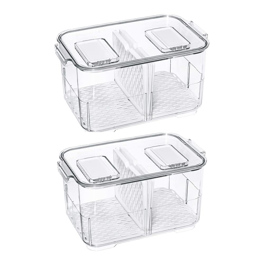 Vegetable Fruit Storage Containers, Refrigerator Storage Containers Fridge Food Storage Containers Produce Saver FreshWorks Produce Food Storage Container