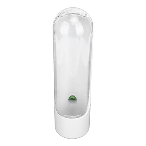 Herb Keeper, Keeps Greens Fresh Glass Storage Container for Cilantro Mint Parsley Asparagus