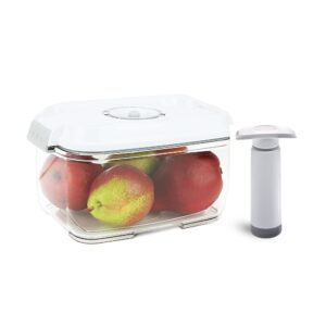 prepsealer food saving airtight bpa-free tritan vacuum container (2l rectangle + pump + tray) - marinating, fruit keeper