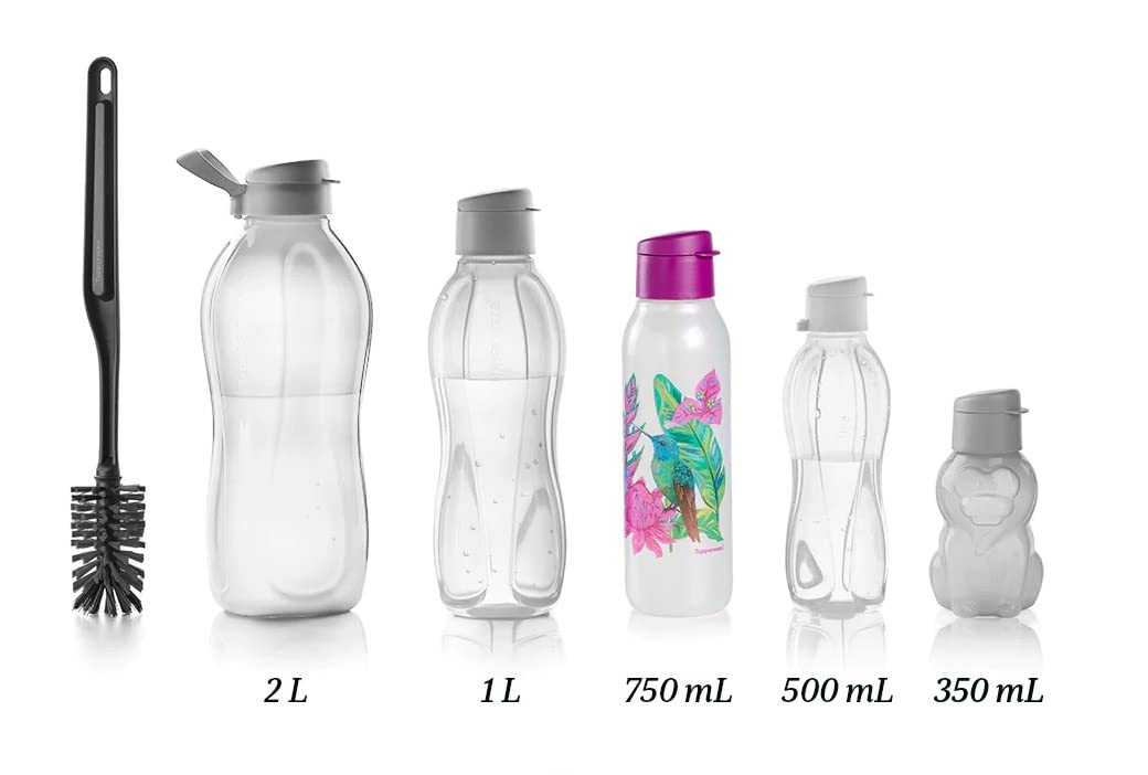 New Tupperware Hummingbird Medium ECO Shimmers Water Bottle 25oz / 750ml Purple