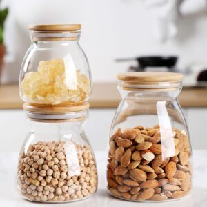 RockTrend Clear Glass Food Sealed Storage Container Spice Jar Coffee Bean Storage Jar with Wooden Lid