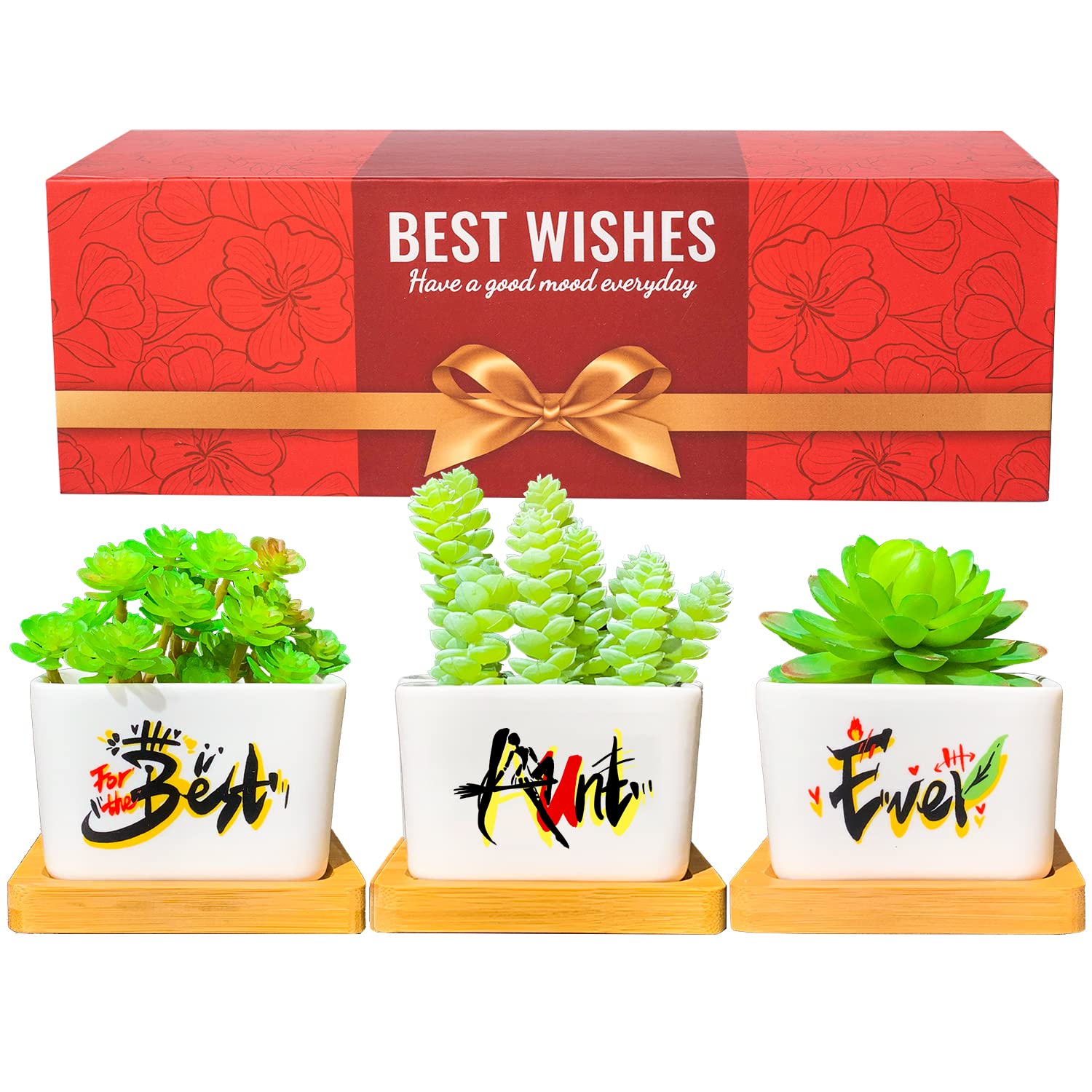 OWYR Aunt Gifts for Women- Succulent Pots Birthday Gifts for Auntie from Niece or Nephew Best Aunt Ever for Her Perfect for Birthday or Christmas