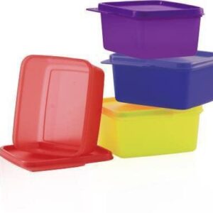 Tupperware Plastic Utility Container 500 ml Pack of 4 (Multicolor)