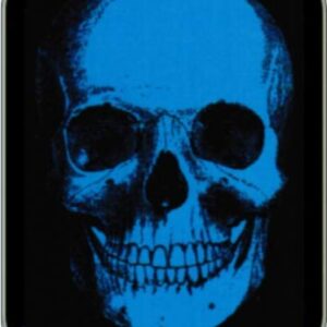 Stash Tins Blue Skull Storage Container 4.37" L x 3.5" W x 1" H