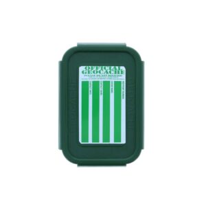 geocaching container - solid green