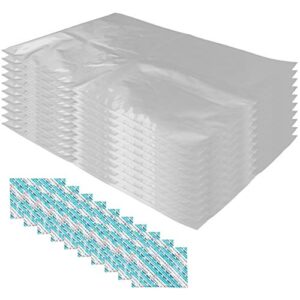 Dry-Packs 5-Gallon, 20"x30" Mylar Bags and 2000cc Oxygen Absorbers, 10 Pack - for Food Shipping & Storage,Silver,MB20x30-2000CC-10PK-ALT1