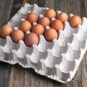 MT Products Egg Crates, Egg Flat Cartons Bulk Holds 30 Eggs - Pulp Fiber Egg Crate for Chicken Farm - Great Home for Roach Colony - Made in the USA - 15 Flats