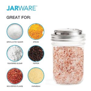 Jarware Stainless Steel Spice Shaker, Wide Mouth Mason Jar Spice Lid