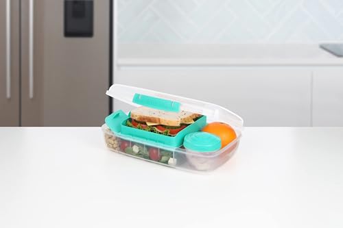 Sistema To Go Collection Large Bento Box Plastic Lunch and Food Storage Container, 7.4 Cup, Multi Compartment, Color Varies | BPA Free